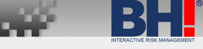 BHi - Interactive Risk Management